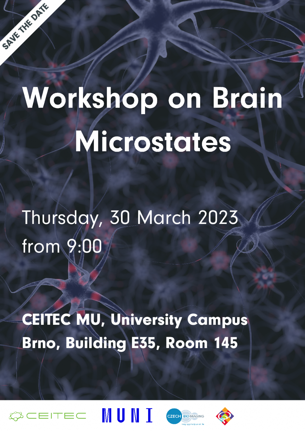 Workshop on Brain Microstates - Ceitec.cz